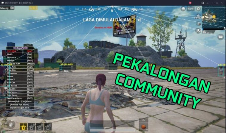Cara Mengembalikan Akun PUBG Mobile Yang Dibanned! - Gamedaim